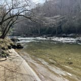 Laurel River Trail, North Carolina - 1,389 Reviews, Map | AllTrails