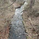 The Lower Trail, Pennsylvania - 423 Reviews, Map | AllTrails