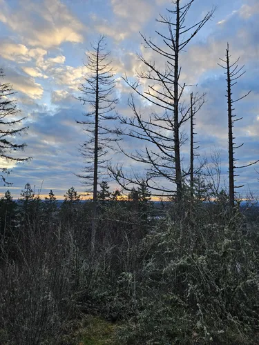 Best Bird Watching Trails in Spring Lake/Lake Desire Park | AllTrails