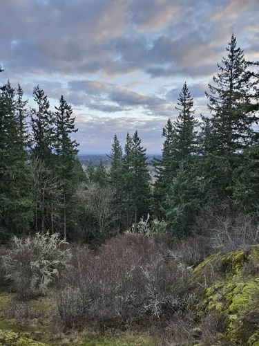 Best Bird Watching Trails in Spring Lake/Lake Desire Park | AllTrails