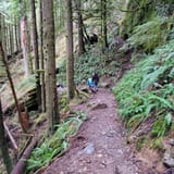 Boulder River Trail, Washington - 1,740 Reviews, Map | AllTrails