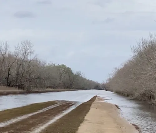 Best Hikes and Trails in George Bush Park | AllTrails