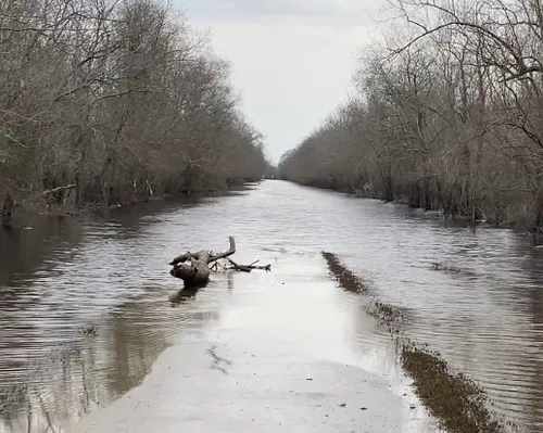 Best Hikes and Trails in George Bush Park | AllTrails