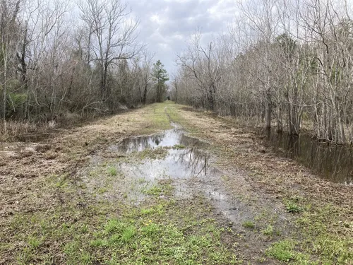 Best Hikes and Trails in George Bush Park | AllTrails