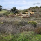 East Walker Loop, California - 512 Reviews, Map | AllTrails