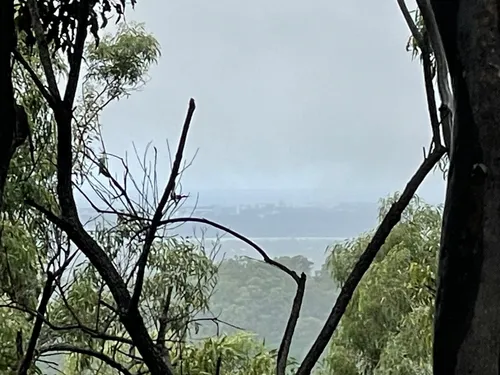 Best Hikes and Trails in Willow Vale | AllTrails