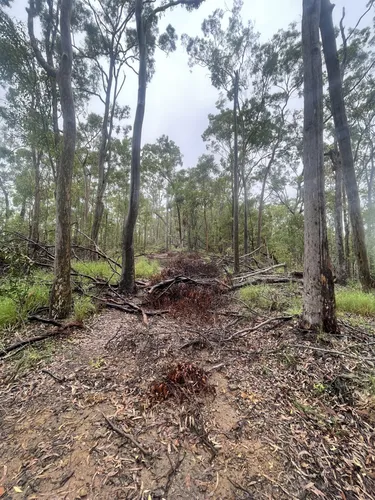 Best Hikes and Trails in Willow Vale | AllTrails