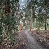 Serrano Creek Trail, California - 629 Reviews, Map | AllTrails