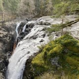 Englishman River Falls Trail, British Columbia, Canada - 1,407 Reviews ...