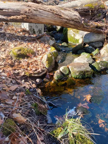 Best Hikes and Trails in The Rock Lot / Scott Preserve | AllTrails