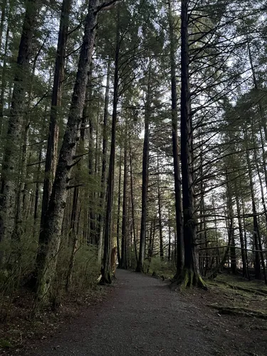 Best Hikes and Trails in Sitka National Historical Park | AllTrails