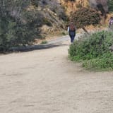 Runyon Canyon Trail, California - 7,731 Reviews, Map | AllTrails