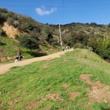 Runyon Canyon Trail, California - 7,731 Reviews, Map | AllTrails