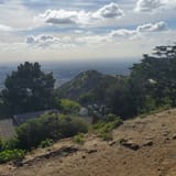 Runyon Canyon Trail, California - 7,731 Reviews, Map | AllTrails