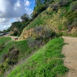 Runyon Canyon Trail, California - 7,731 Reviews, Map | AllTrails