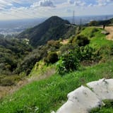 Runyon Canyon Trail, California - 7,731 Reviews, Map | AllTrails