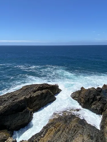 Best Hikes and Trails in Mutton Bird Island Nature Reserve | AllTrails