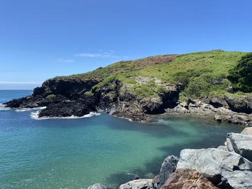 Best Hikes and Trails in Mutton Bird Island Nature Reserve | AllTrails