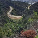 Runyon Canyon Trail, California - 7,731 Reviews, Map | AllTrails