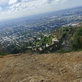 Runyon Canyon Trail, California - 7,731 Reviews, Map | AllTrails