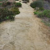 Runyon Canyon Trail, California - 7,731 Reviews, Map | AllTrails