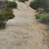 Runyon Canyon Trail, California - 7,731 Reviews, Map | AllTrails