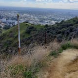 Runyon Canyon Trail, California - 7,731 Reviews, Map | AllTrails