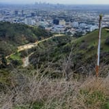 Runyon Canyon Trail, California - 7,731 Reviews, Map | AllTrails