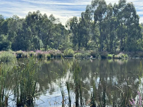 Best Hikes and Trails in Lake Canobolas Reserve | AllTrails