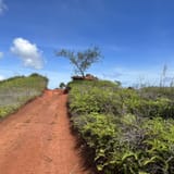 Sigua Falls, Agana Heights, Guam - 566 Reviews, Map | AllTrails