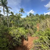 Sigua Falls, Agana Heights, Guam - 566 Reviews, Map | AllTrails