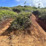 Sigua Falls, Agana Heights, Guam - 566 Reviews, Map | AllTrails