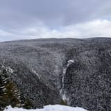 Imp Ledges Trail, New Hampshire - 412 Reviews, Map | AllTrails