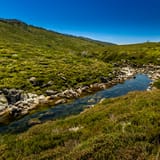 Illawong Walk, New South Wales, Australia - 330 Reviews, Map | AllTrails