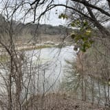 Hamilton Pool Park Trail, Texas - 379 Reviews, Map | AllTrails