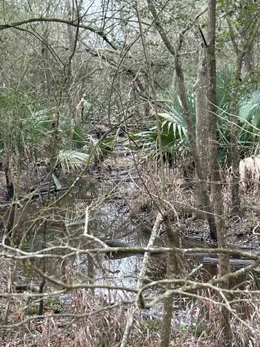 Best Hikes and Trails in Challenger Seven Memorial Park | AllTrails