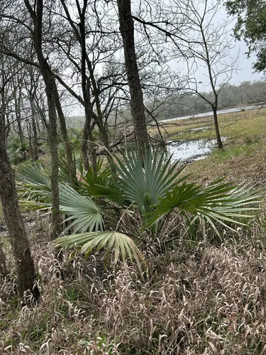 Best Hikes and Trails in Challenger Seven Memorial Park | AllTrails