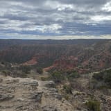 Haynes Ridge and Upper North Prong Trail Loop, Texas - 881 Reviews, Map ...