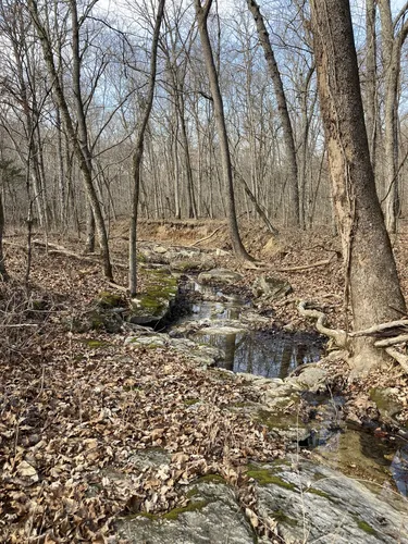 Best Hikes and Trails in Meramec Conservation Area | AllTrails