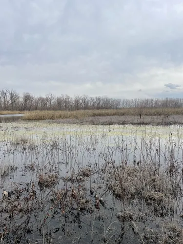 Best Hikes and Trails in Lake Weatherford Park | AllTrails