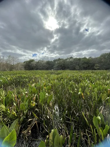 Best Hikes and Trails in Green Cay Nature Center and Wetlands | AllTrails
