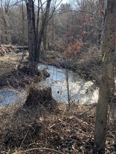 Best Hikes and Trails in Hop Brook Lake Recreation Area | AllTrails