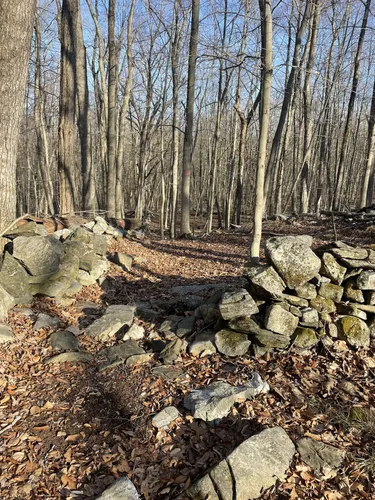 Best Hikes and Trails in Angle Fly Preserve | AllTrails