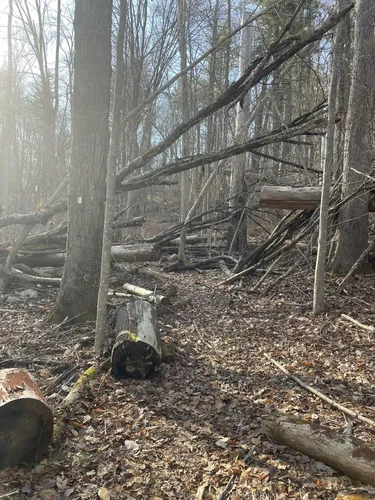 Best Hikes and Trails in Angle Fly Preserve | AllTrails