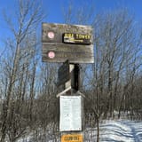 Overlook Mountain Trail, New York - 5,541 Reviews, Map | AllTrails