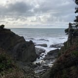 Cape Arago Loop Trail, Oregon - 324 Reviews, Map | AllTrails
