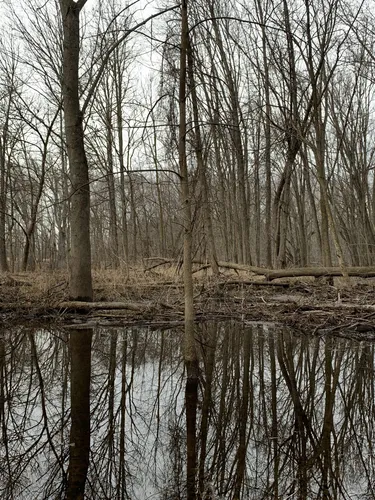 Best Hikes and Trails in Burchfield Park | AllTrails