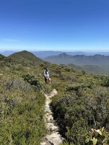 Best Hikes and Trails in Major Mitchell Plateau Remote Natural Area ...