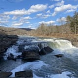 Ferncliff Trail, Pennsylvania - 1,356 Reviews, Map | AllTrails
