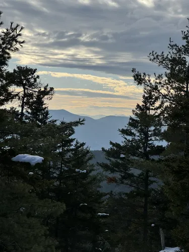 Best Hikes and Trails in Merriman State Forest | AllTrails